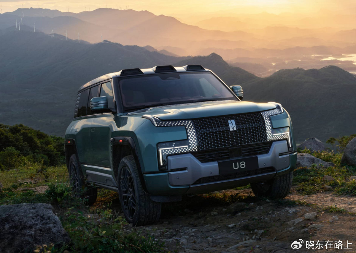 加州州长带货仰望U8？并且想要引进美国-新浪汽车