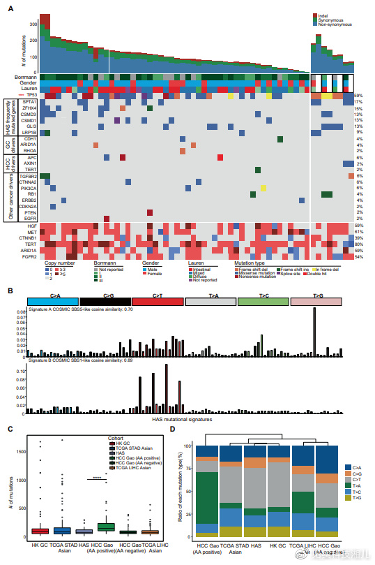 精准医学背景下如何克服胃癌异质性__财经头条