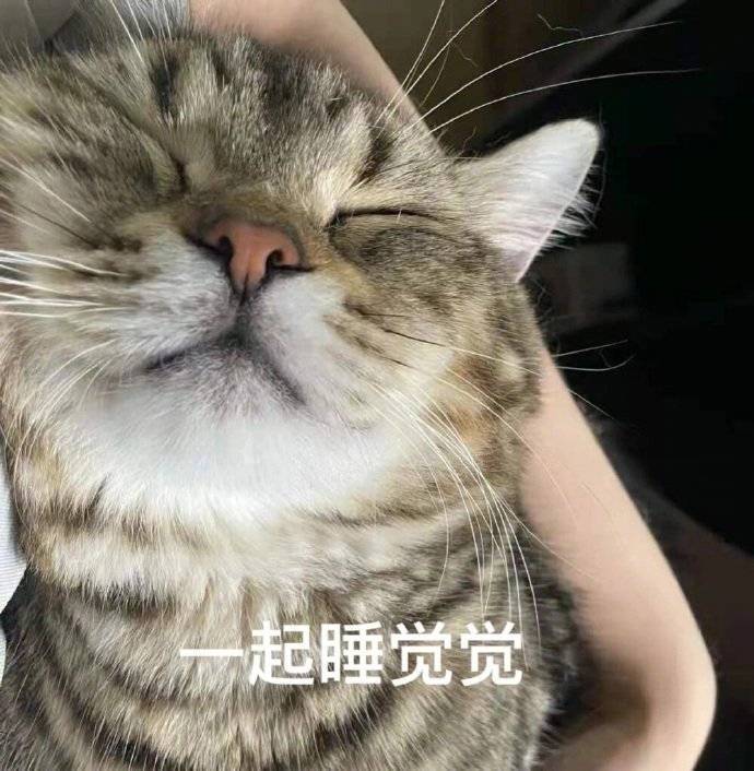 表情包 | 宁可累死自己 也要卷死别人