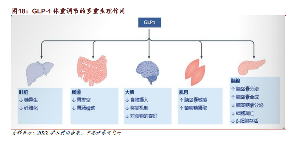医药行业专题研究：GLP~1RA药物，下一站药王__财经头条