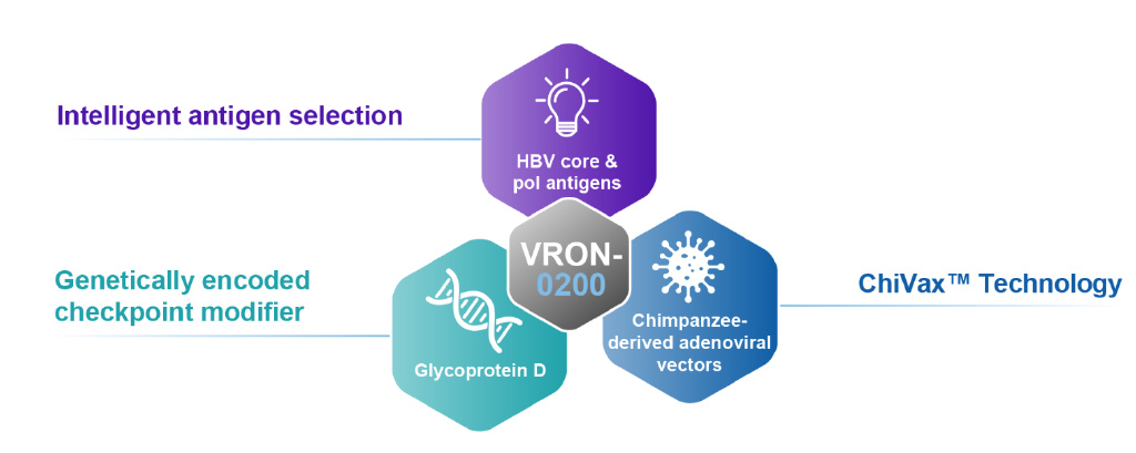 乙肝在研新药VRON-0200，1期临床试验，有望2023年上半年开始