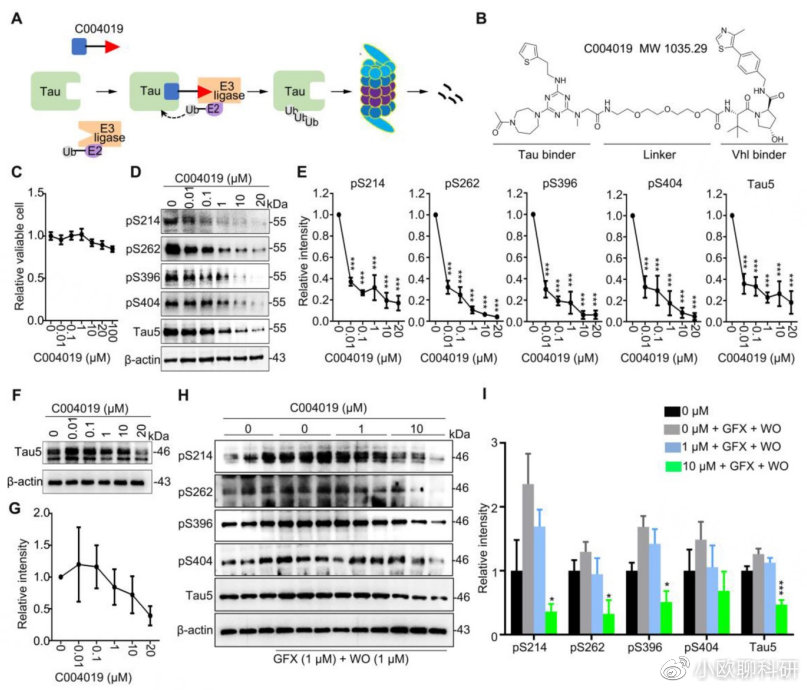 PROTAC降解组学促进tau清除改善阿尔茨海默病样模型中的认知功能