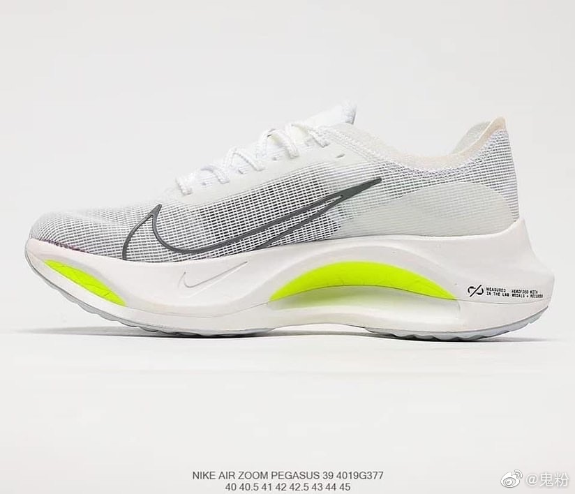 Pegasus 39 Alphafly 2 pegasus-39-alphafly-2
