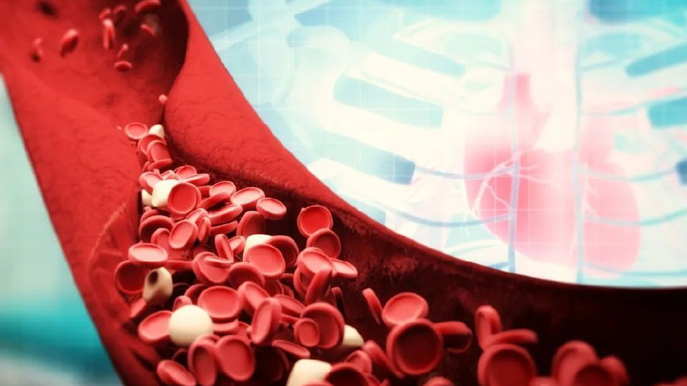 好安森：微循环障碍是百病之源，磁场如何改善微循环？|微循环|磁场|血流_新浪新闻