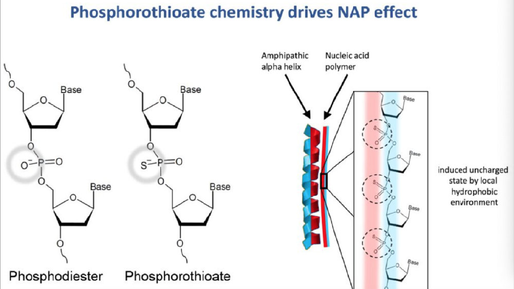乙肝/丁肝在研新药REP 2139，通过SC，挽救BLV失败及反弹数据|受试者|丁肝|乙肝_新浪新闻