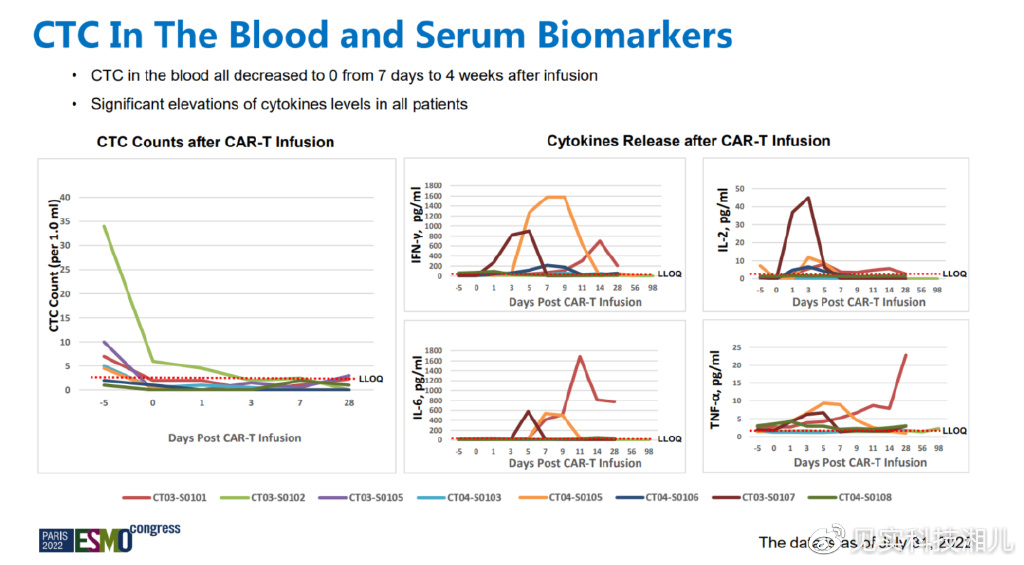 靶向EpCAM的CAR-T细胞疗法实体瘤患者未来可期|CAR-T细胞疗法|CAR-T|肿瘤_新浪新闻