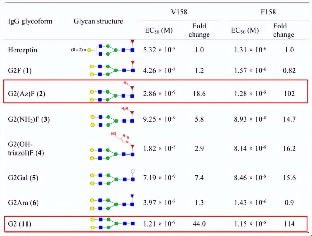 增强抗体亲和力及ADCC的新机制|抗癌|岩藻糖|抗体_新浪新闻