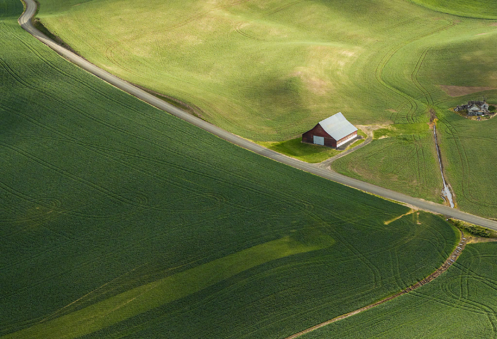 养眼的大自然肌理｜Mitch Rouse__财经头条