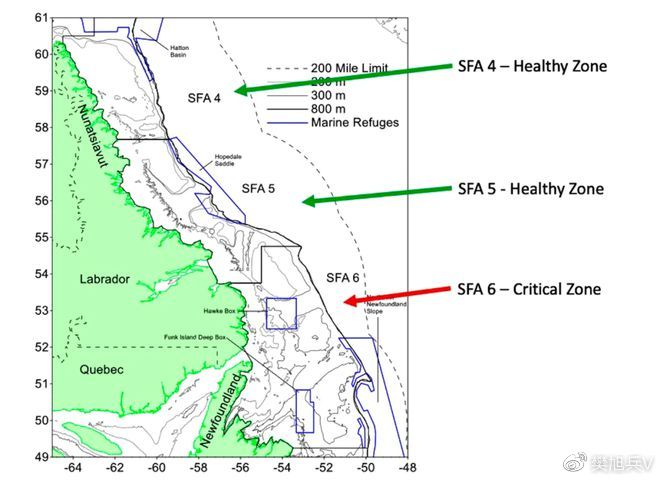 加拿大渔业部：受海水变暖影响，SFA4渔区北极虾种群数量增长150%|大西洋|虾|种群_新浪新闻