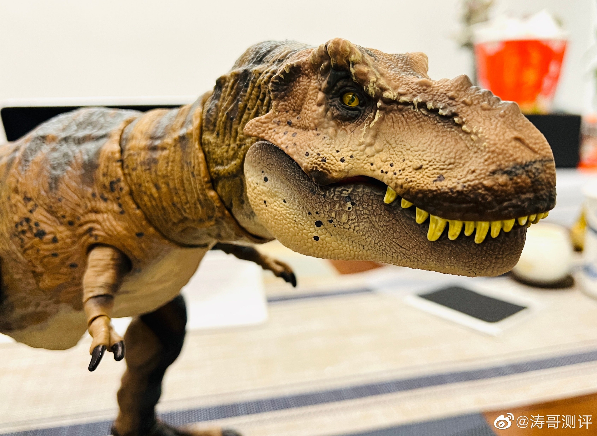这只哈蒙德收藏系列的霸王龙漂洋过海终于来到我身边了……__财经头条