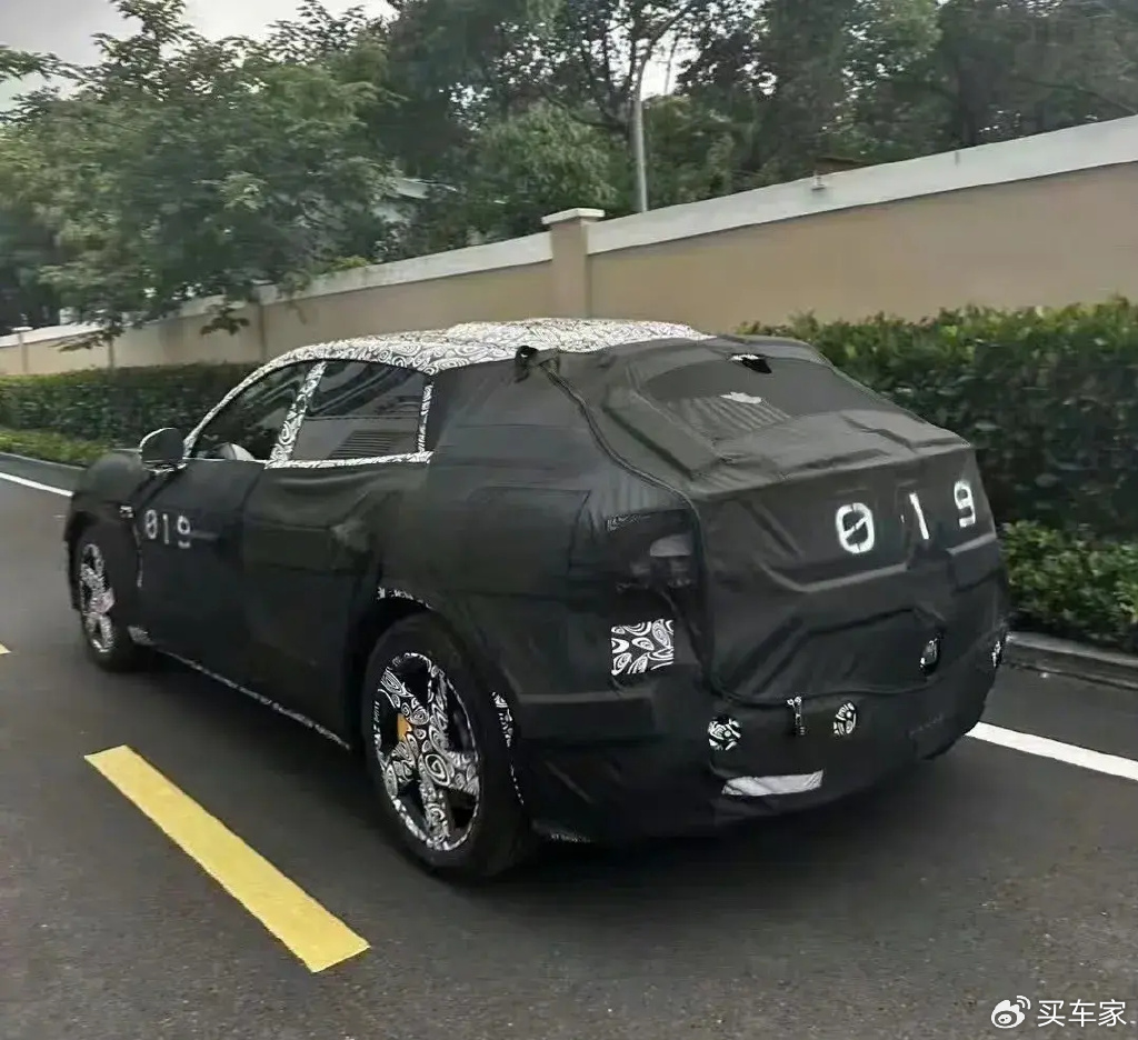 小米suv谍照曝光!借鉴完保时捷借鉴法拉利 新浪汽车