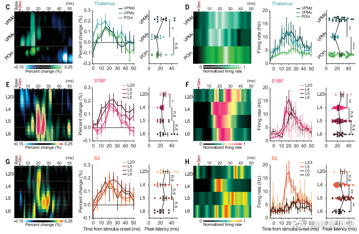 Science重磅研究：高时空分辨率的MRI成像__财经头条