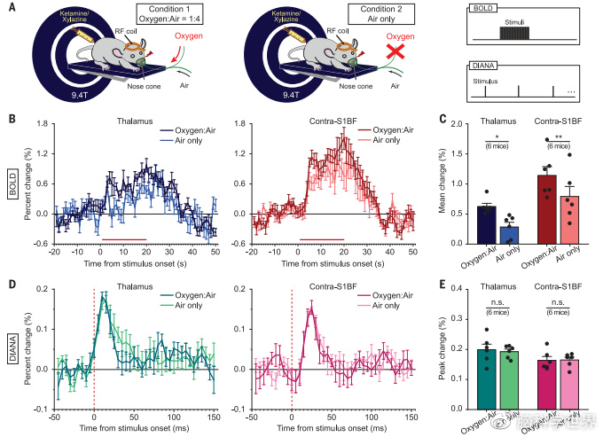 Science重磅研究：高时空分辨率的MRI成像