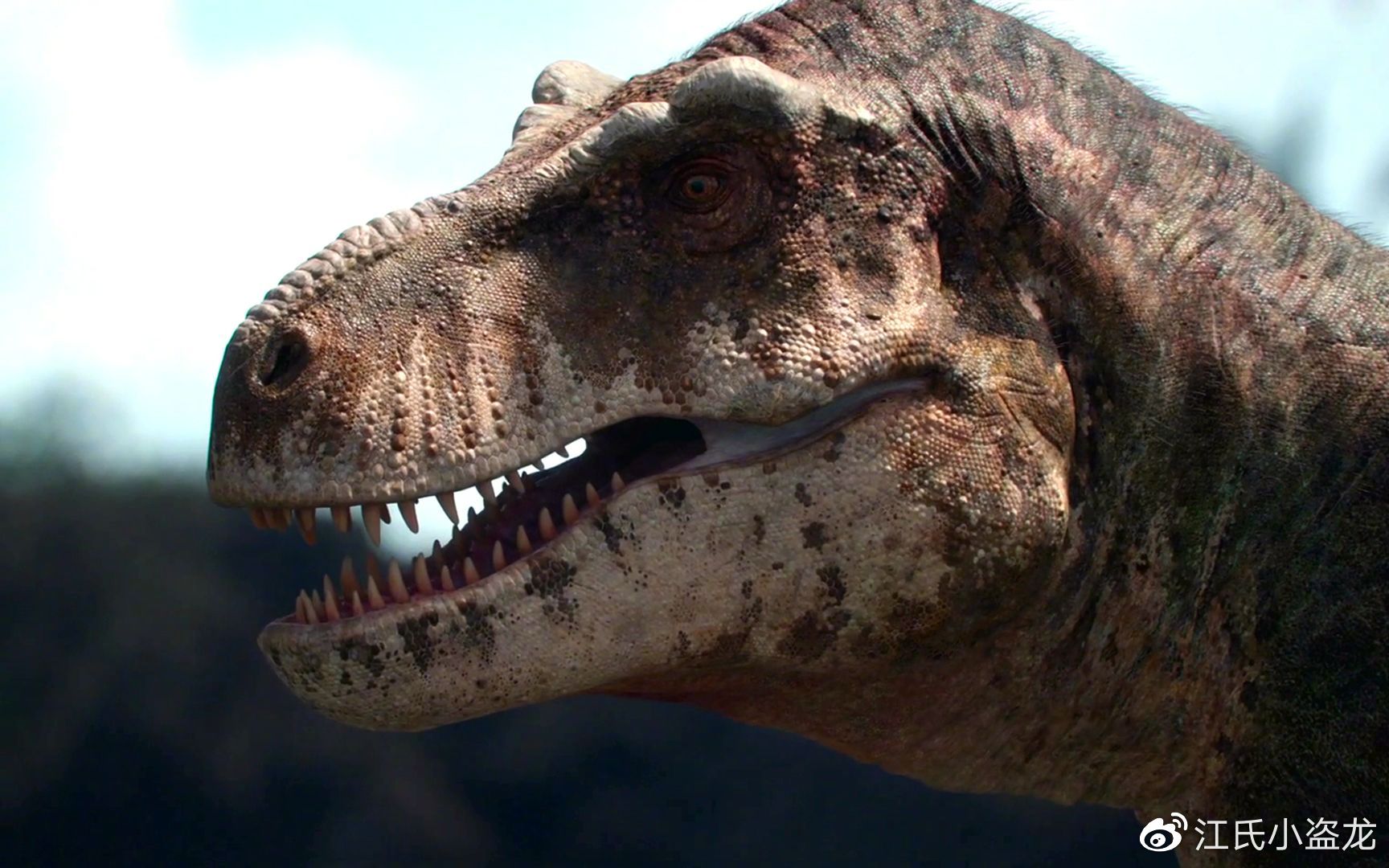 霸王龙凶不露齿！