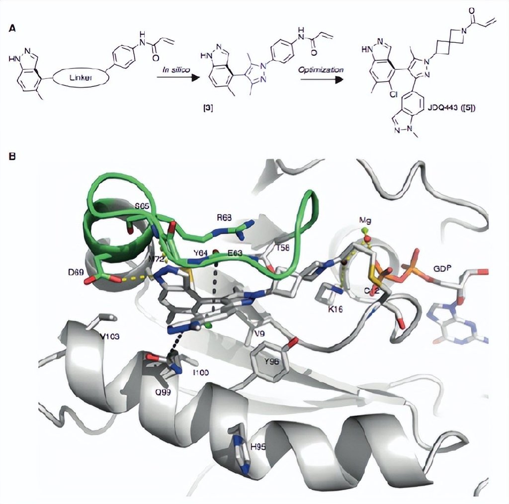 希望新星JDQ443有望改写KRAS突变治疗格局__财经头条