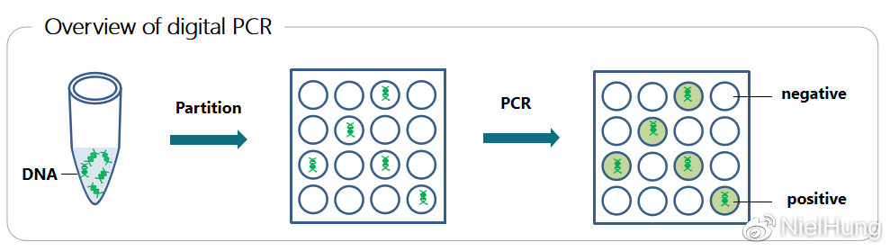 达安科普：详解新冠核酸快速检测PCR技术的三代不同！