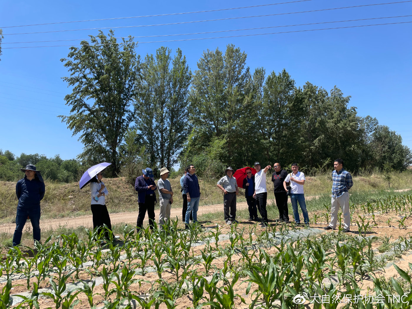 Global-DEP课题组访问中国TNC和林格尔项目地|中国|基金会|林业_新浪新闻