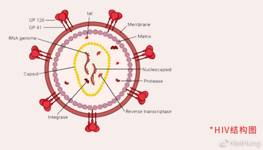 达安科普：分子诊断技术如何用于防治艾滋病？