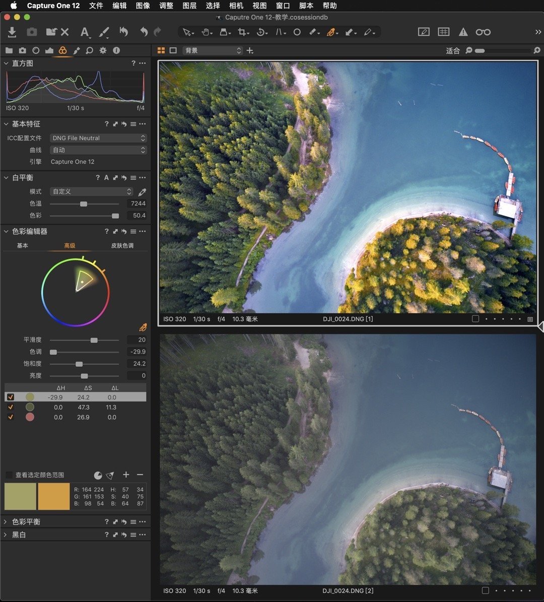Capture One摄影后期网络教程，已经4500多人次在学习