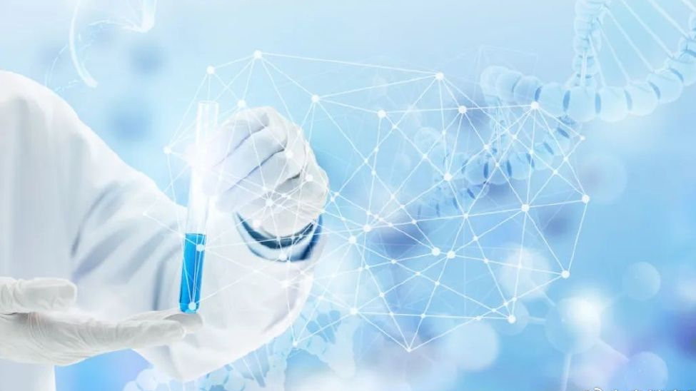 一周仅需注射1针！诺和诺德超长效胰岛素icodec获欧盟委员会支持批准|胰岛素|诺和诺德|血糖_新浪新闻