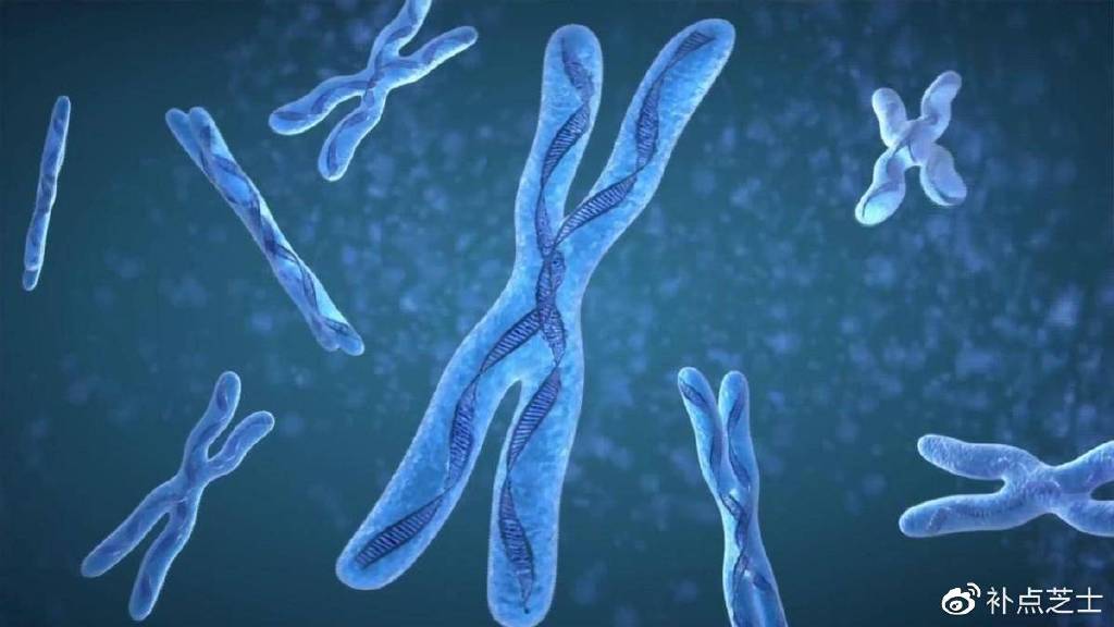 什么是DNA的三级结构？DNA是如何压缩包装成染色体的？__财经头条