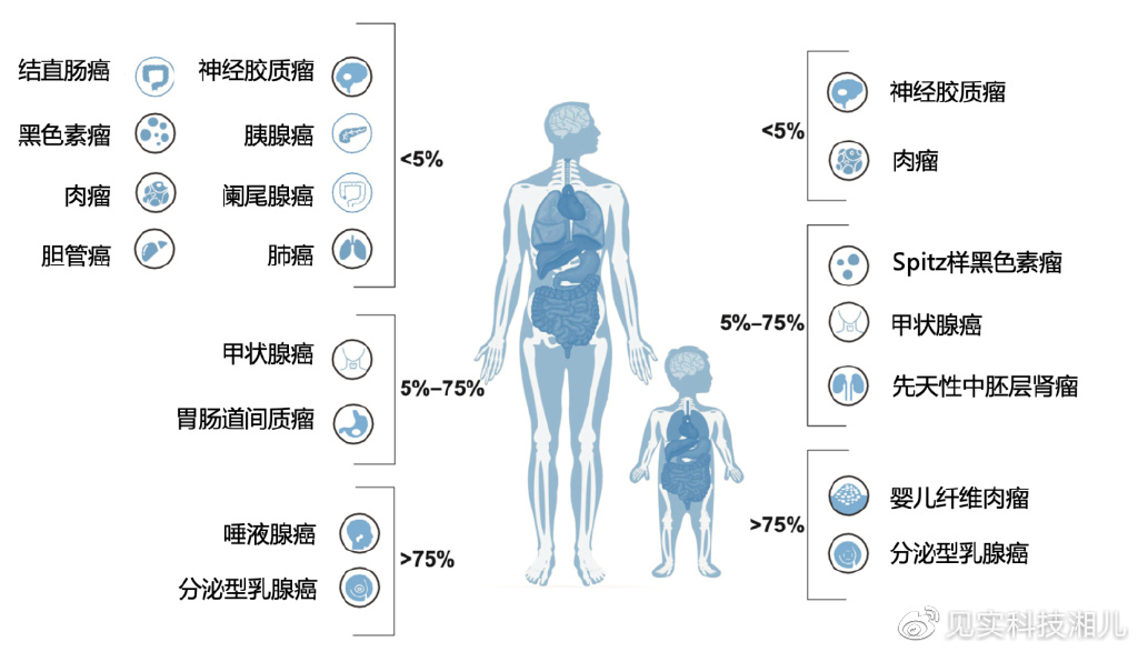 泛癌种“钻石”靶点NTRK基因检测（上）__财经头条