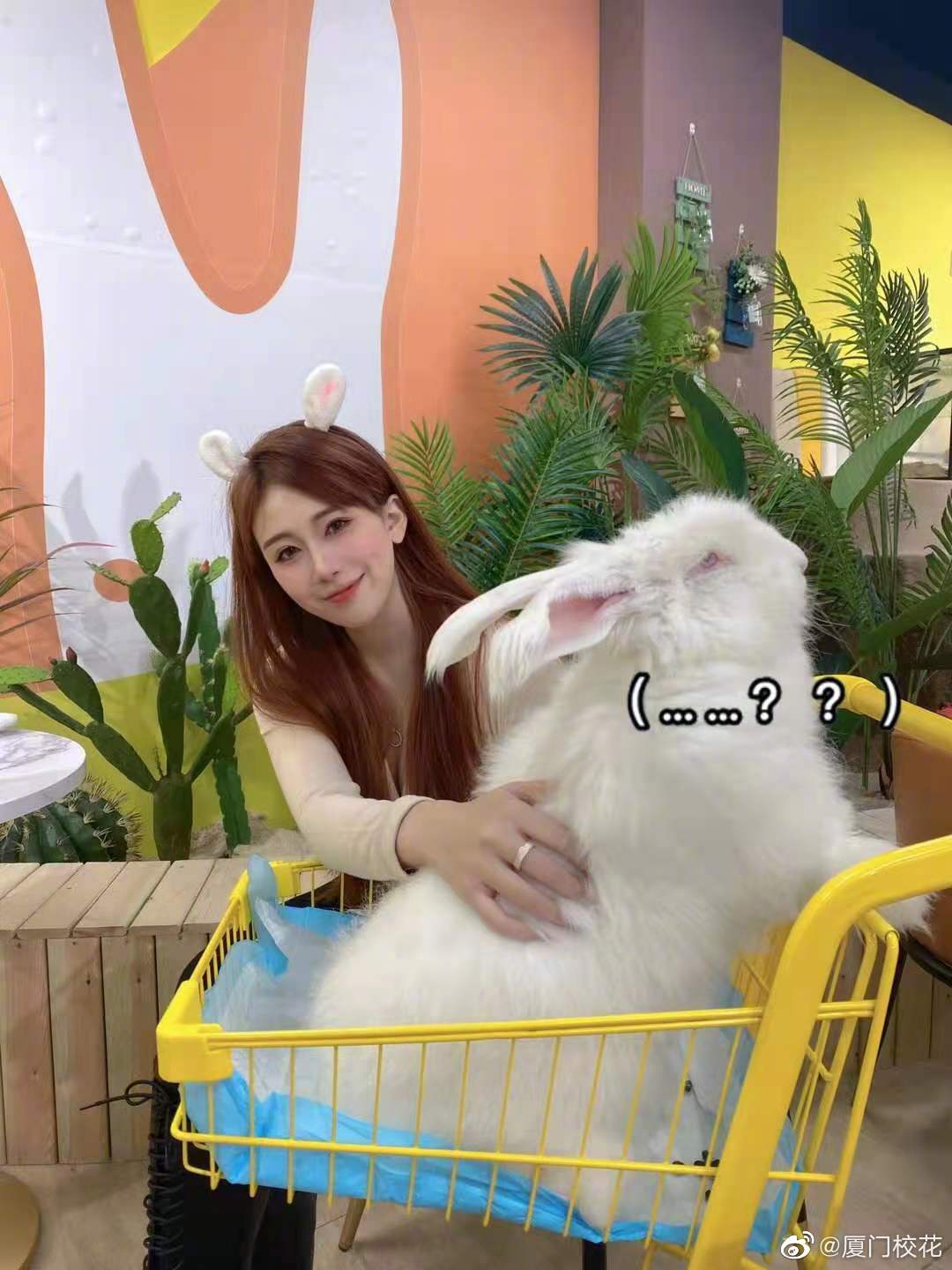 她叫张津 ，96年，毕业于集美大学 ，身高163cm，狮子座……