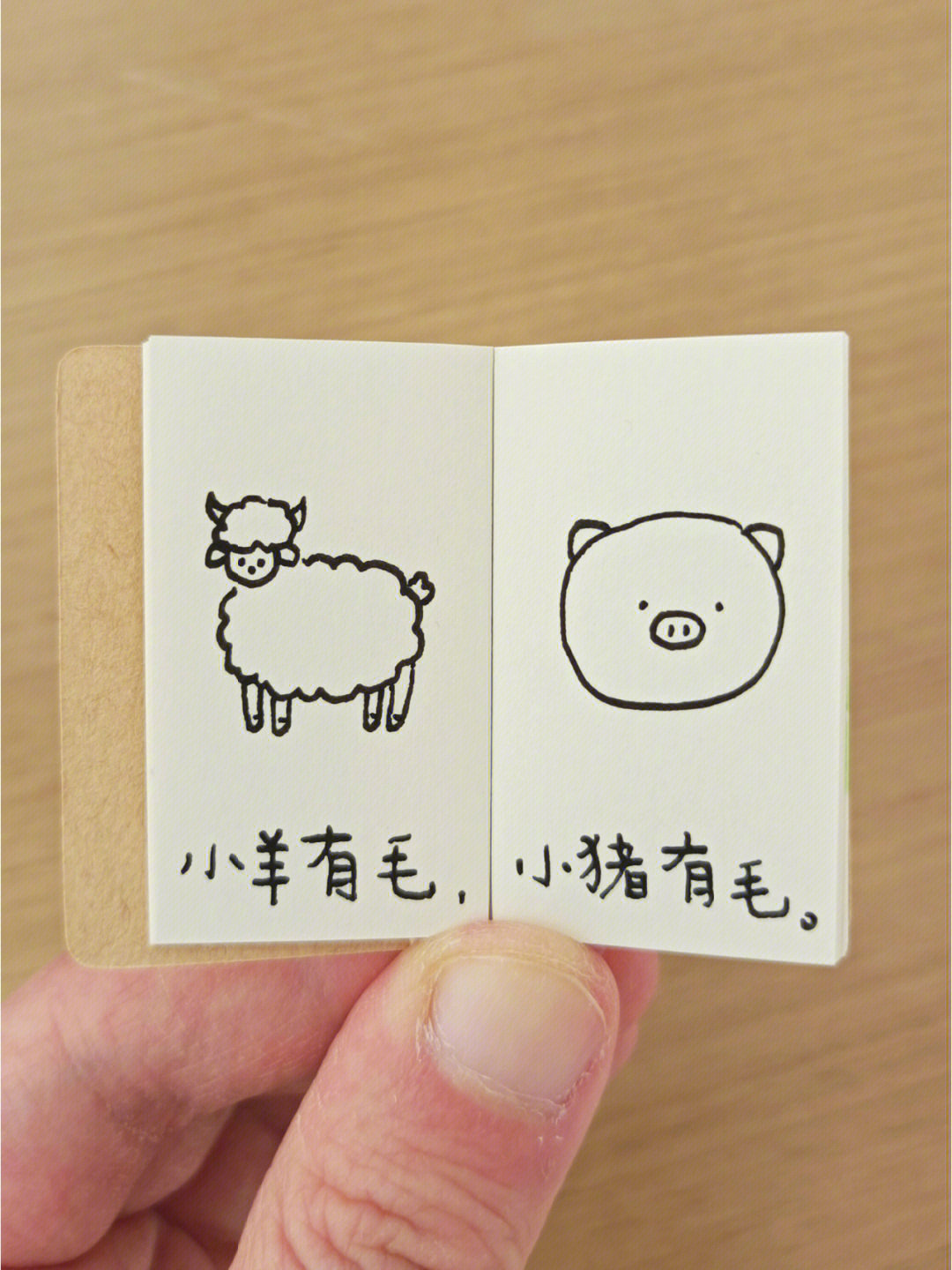 一篇关于毛的故事，被治愈到了 财经头条