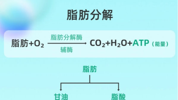 丙酮传感器TGS1820在呼吸酮检测仪检测燃脂状态中的应用|酮体|脂肪|丙酮_新浪新闻