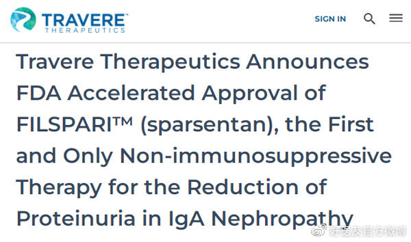 尿毒症“罪魁祸首”：IgA肾病，迎来首款非免疫抑制疗法|肾病|疗法|尿毒症_新浪新闻