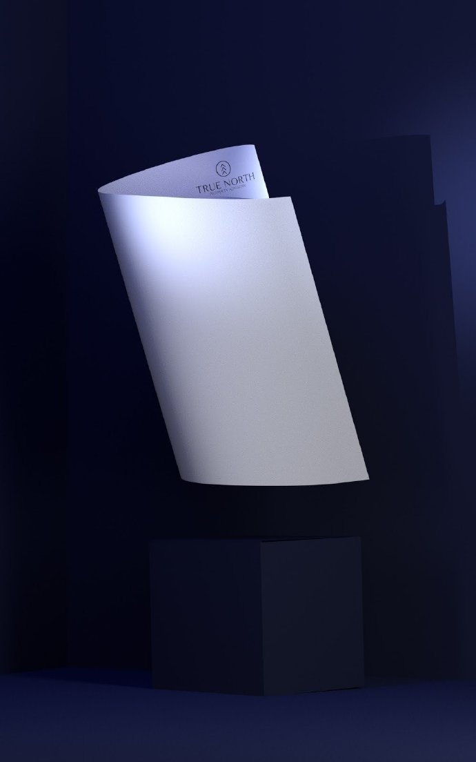 房地产咨询公司True North品牌logo设计及vi设计 ：Bous Studio