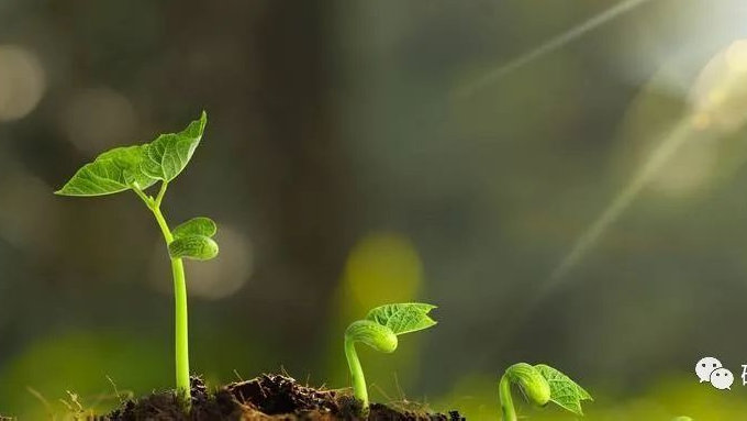 LEAP-002、RATIONALE 301、双艾方案研究结果重磅发布！|吉西|胰腺癌|胆管癌_新浪新闻