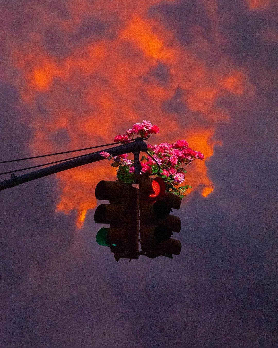 Kanghee Kim | 证件限制了她的旅行自由