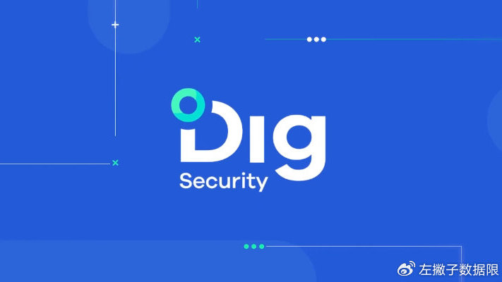 频频出手，网络安全巨头Palo Alto Networks收购以色列公司Dig Securi|网络安全|以色列|初创公司_新浪新闻