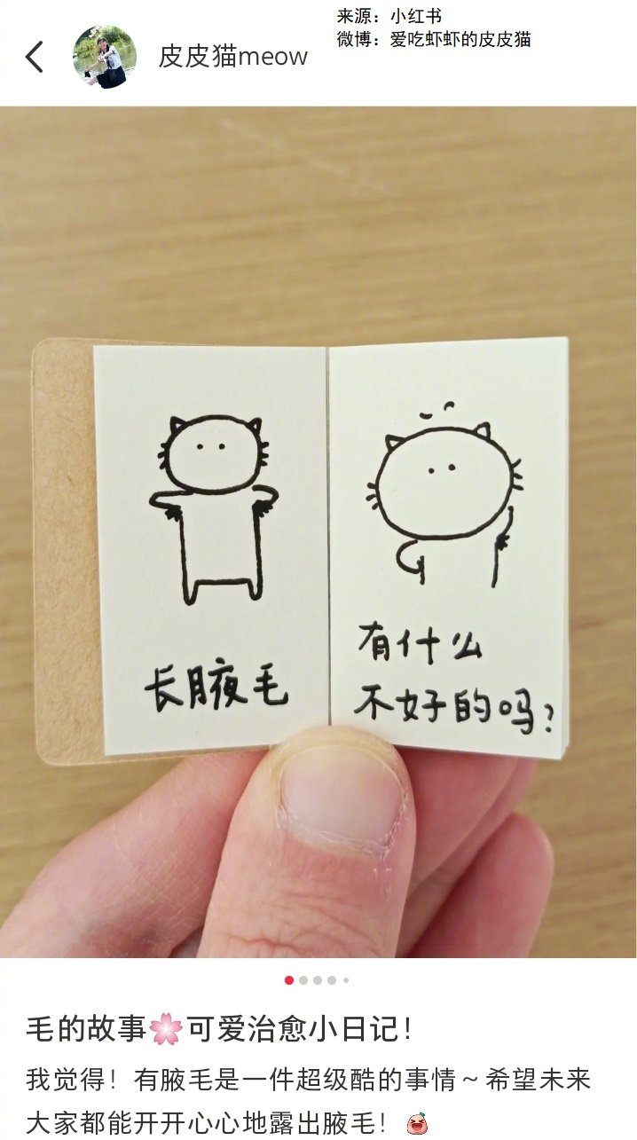 一篇关于毛的故事，被治愈到了 财经头条