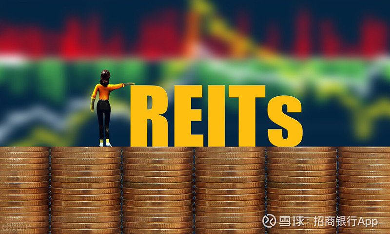 一文带你读懂：什么是REITs？|REITs|公募REITs_新浪新闻