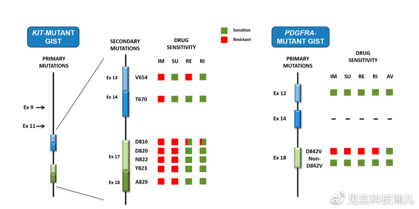新型酪氨酸激酶抑制剂治疗局部晚期和转移性GISTs__财经头条