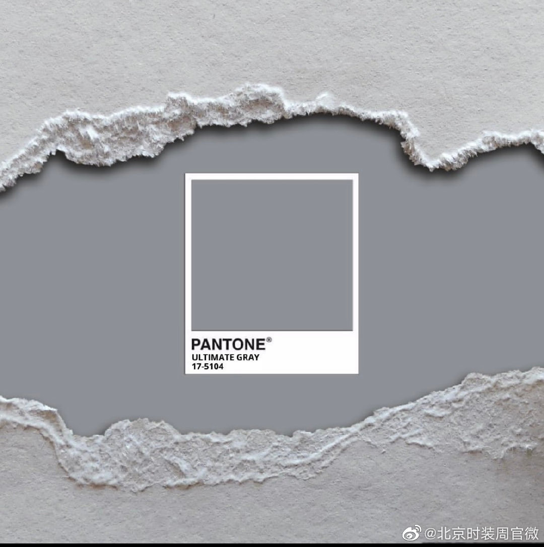 Pantone公布了2021年度流行色——极致灰（PANTONE 17-5104 Ultimate