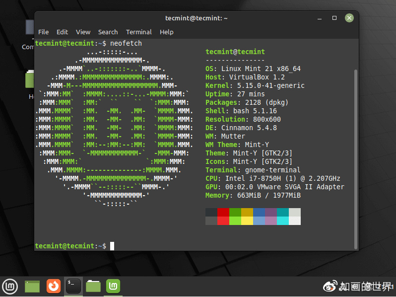 Linux Mint 21 [Cinnamon] 桌面版本安装教程|Linux Mint|分区|Cinnamon_新浪新闻