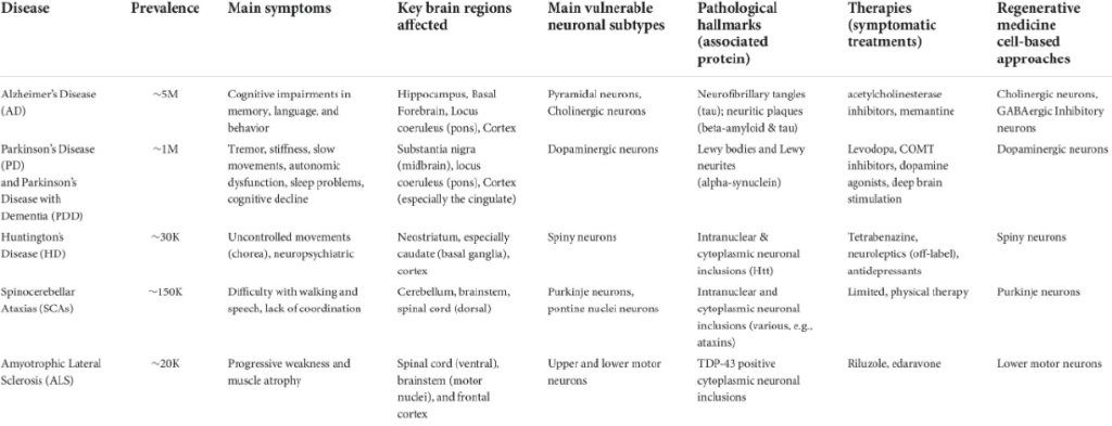 Front.aging neurosci综述：用于重建人脑的多能干细胞策略