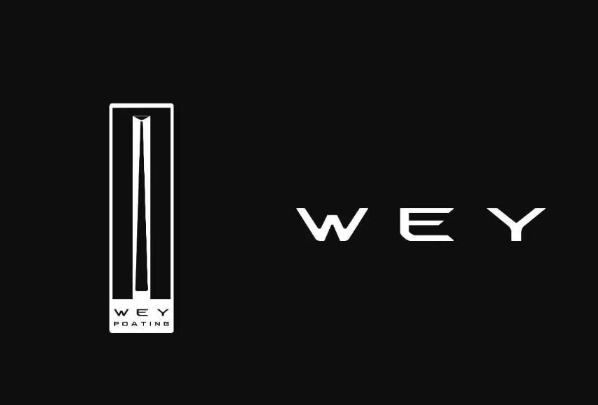 933N·m超强爆发力，魏牌蓝山DHT-PHEV亮相海口车展-新浪汽车