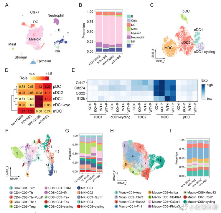 单细胞转录组测序解析抑制剂介导膀胱癌肿瘤微环境改变的作用机制