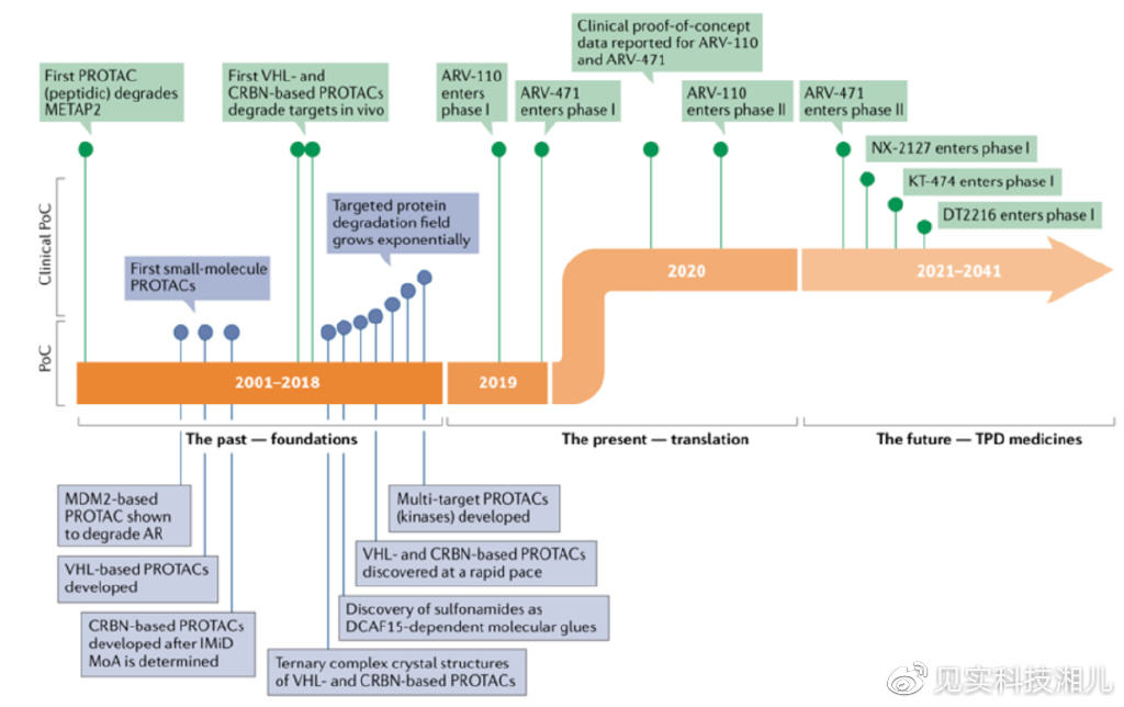 PROTAC再添新的临床证据，ER+晚期乳腺癌前景可期__财经头条