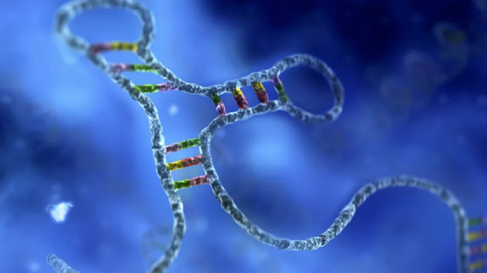 乙肝在研新药JNJ-3989，联6379及核苷类，2b期REEF-2研究FU48公布|对照组|核苷类|乙肝_新浪新闻