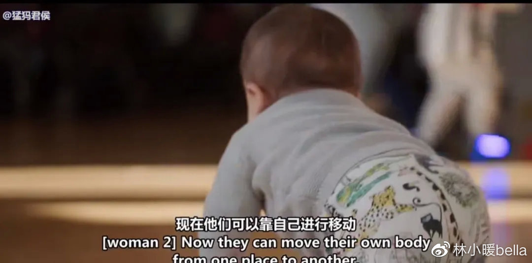 Netflix最新纪录片《Babies》，揭秘人类幼崽0到1岁的成长秘密~|婴儿|Babies_新浪新闻