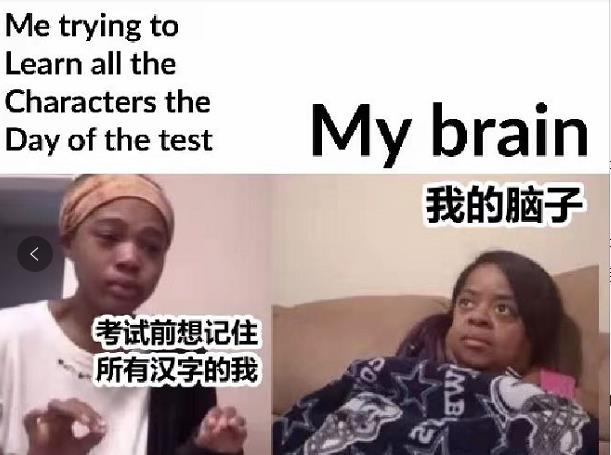 外国人用一组梗图诠释中文难学，图片很写实，网友：终于轮到你们