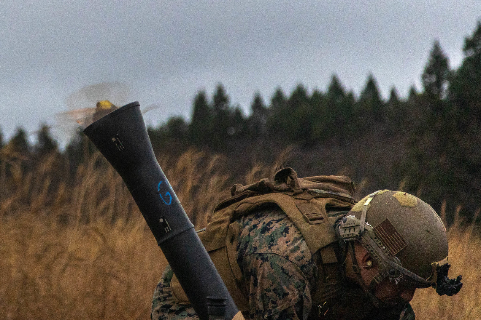 美国海军陆战队使用M252 - 81毫米迫击炮系统