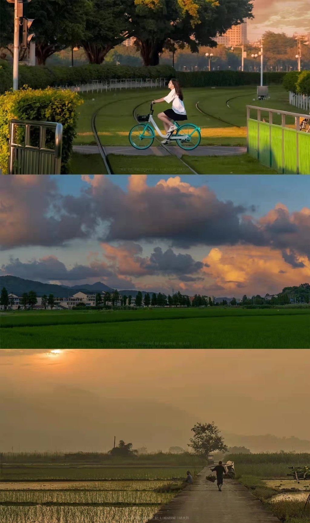 宫崎骏动漫里的夏天 好治愈__财经头条