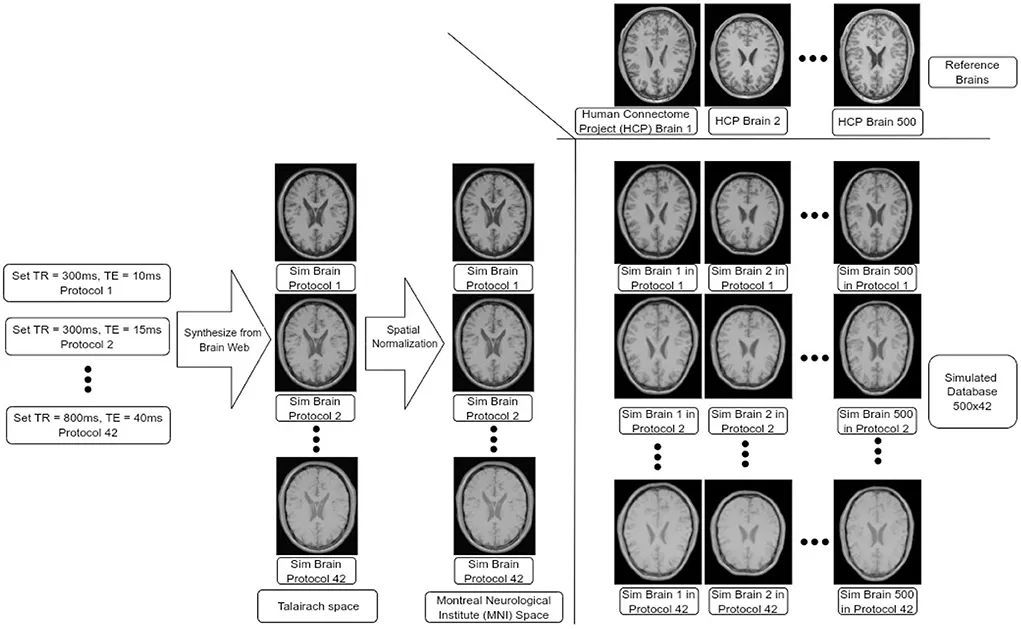 Frontiers in Neuroimaging：神经影像数据分析技术最新进展__财经头条