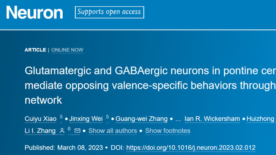 Neuron：大脑特定神经网络精细调控过滤“无价值”的信息|神经元|谷氨酸|神经网络_新浪新闻